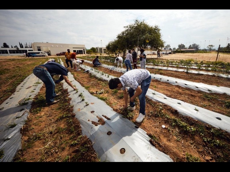 AGUASCALIENTES CON LA PRIMERA CARRERA DE AGRICULTURA SUSTENTABLE CON ...