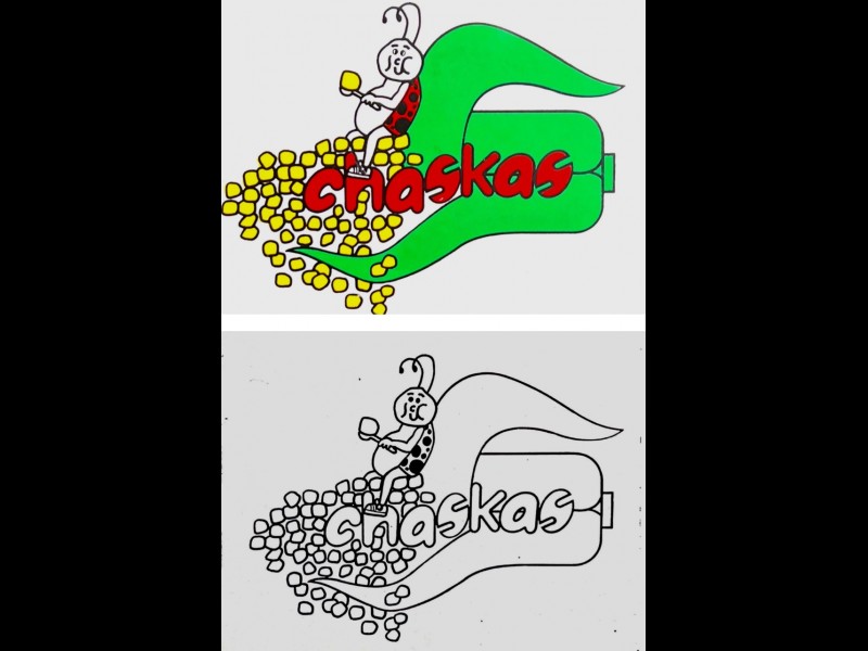 EL ORIGEN DEL NOMBRE DE LAS CHASKAS EN AGUASCALIENTES - Alberto Viveros ...